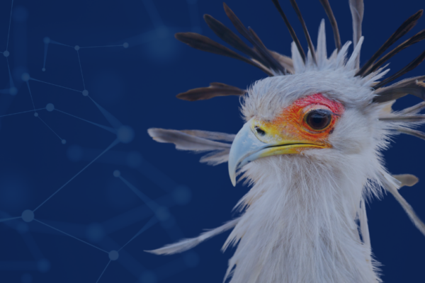 Accredited Board Performance Reviewer - Genius Boards